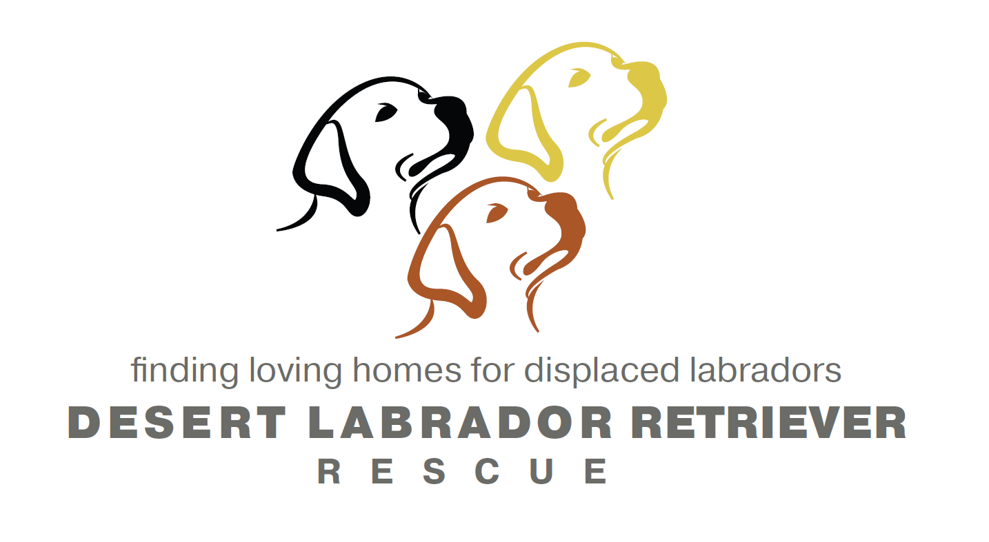 Phoenix - Relay For Rescue