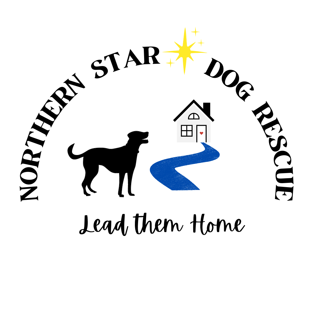 Boise - Relay For Rescue
